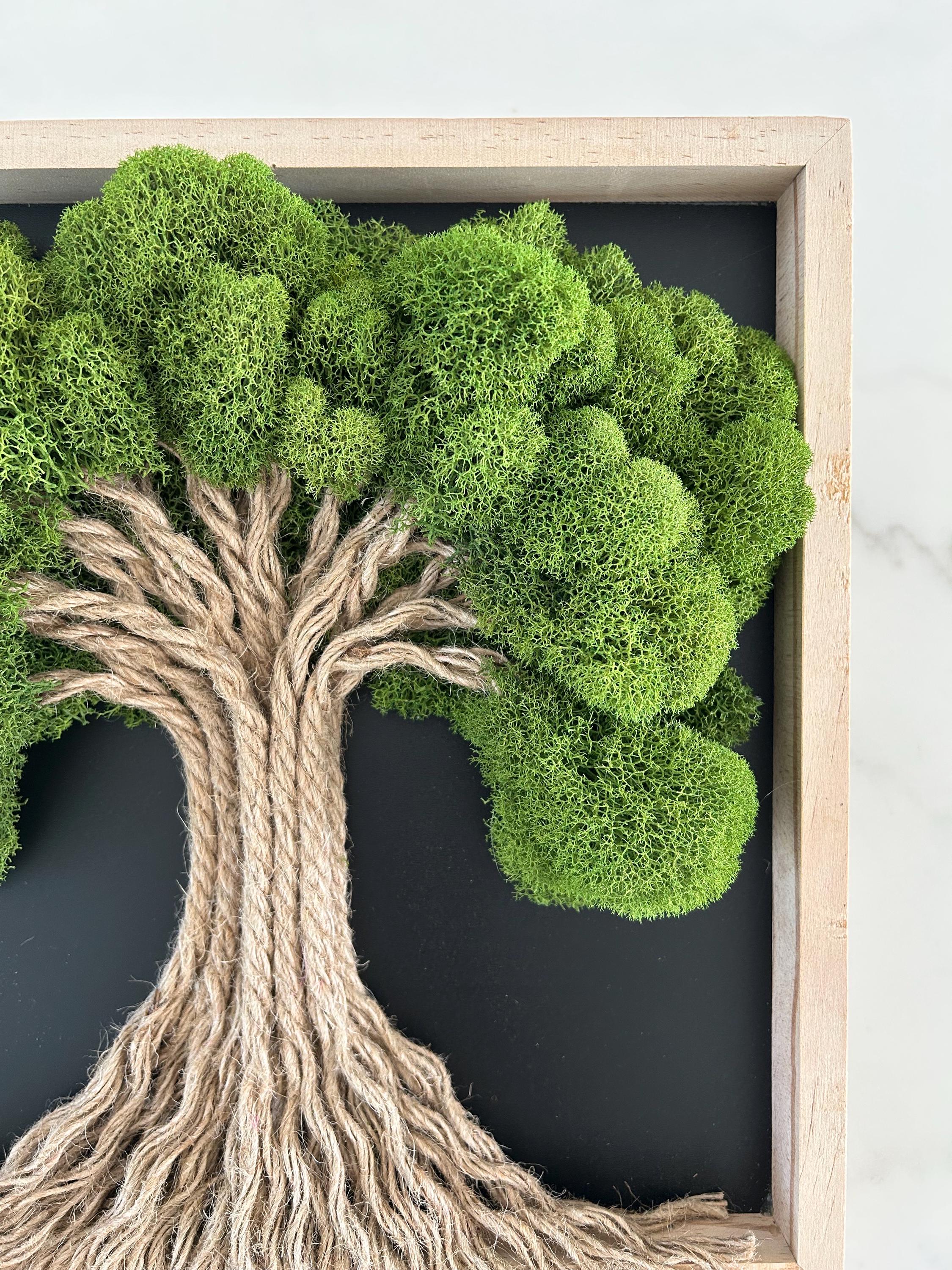 Moss Tree, Moss, Art, Wall Decor, Moss Decorations, Tree Decor, Moss ...