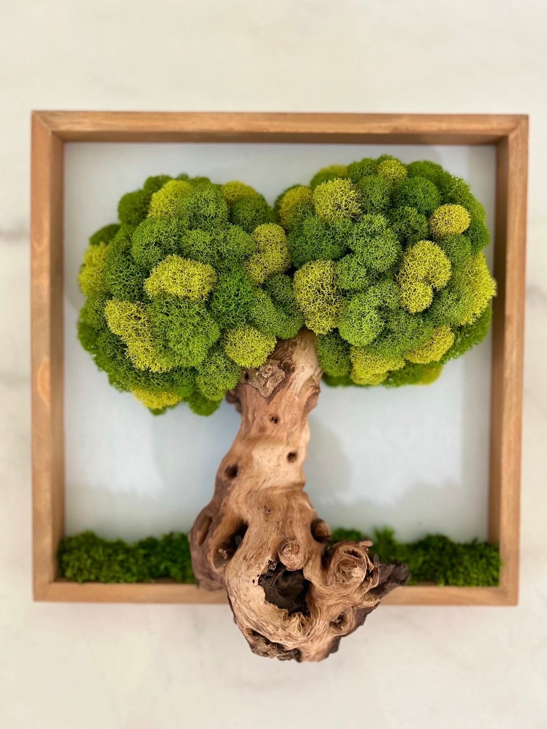 Moss Tree Wall Decor, Handmade Preserved - Biophilic Art (12x12) - Etsy