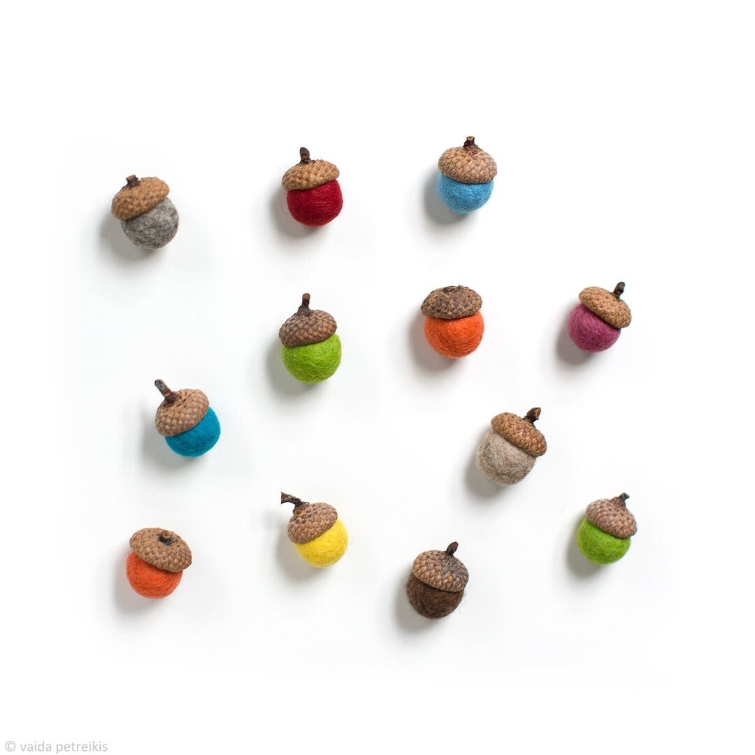Felt Acorn Magnet in Custom Color Packed in a Kraft Box for Woodland ...