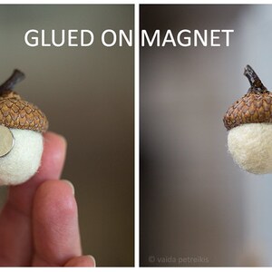 Felt Acorn Magnet in Custom Color Packed in a Kraft Box for Woodland ...