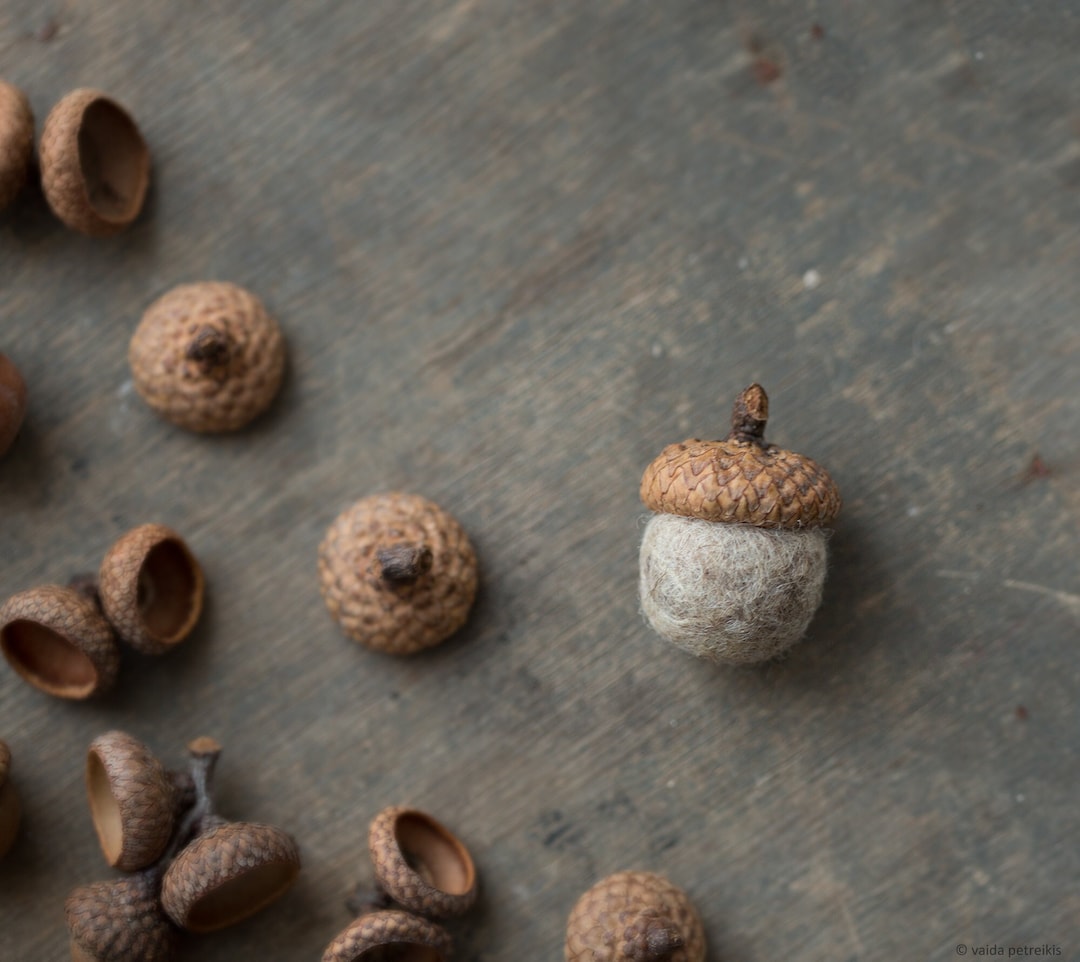 Acorn Fridge Magnet – Natural Acorn Cap and Wool Ornament , Rustic Fall ...