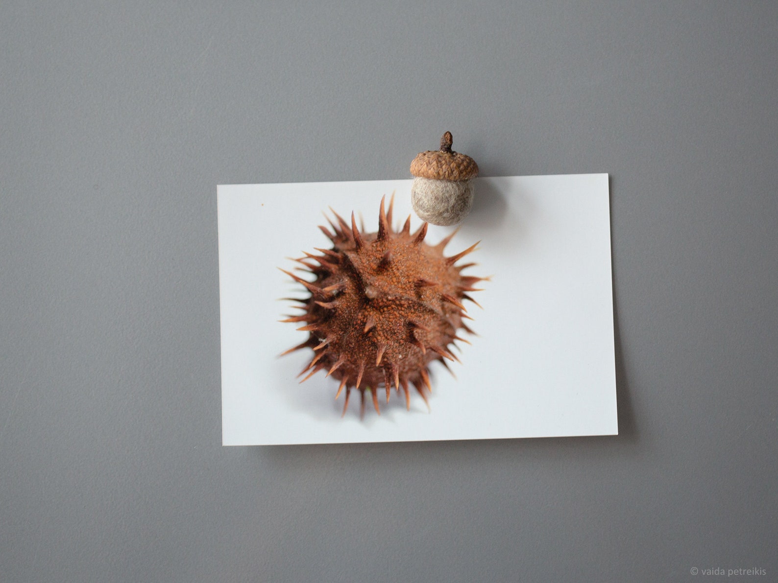 Acorn Fridge Magnet – Natural Acorn Cap and Wool Ornament , Rustic Fall ...