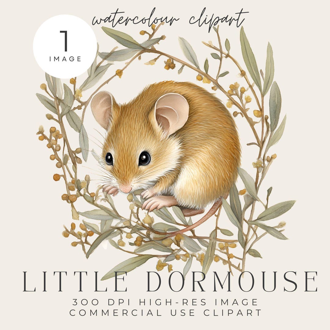 Dormouse Watercolor Clipart | High-res PNG - Woodland Animals, Nursery ...