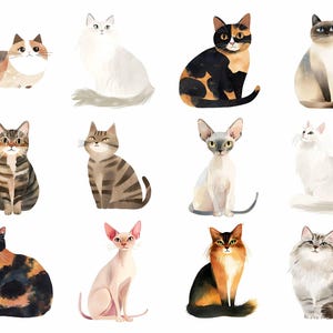Cute Cats Watercolor Clipart – 45 Feline Illustrations (digital ...