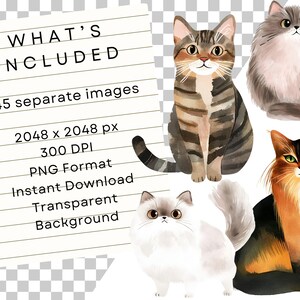 Cute Cats Watercolor Clipart – 45 Feline Illustrations (digital ...