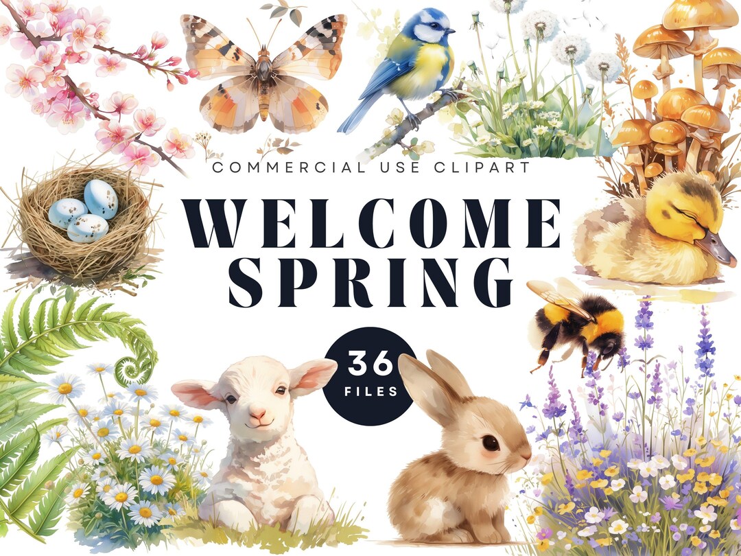 Spring Clipart Collection, Floral & Animal Illustrations, Bees ...