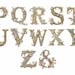 Rococo Floral Alphabet Clipart – Ornate Watercolor Letters, PNG Set for ...