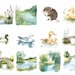 Watercolor River Animals Clipart, Wildlife Illustrations, Ducks ...