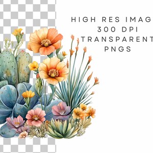 Desert Dreams Watercolor Clipart – Cactus, Wildlife (digital Download ...