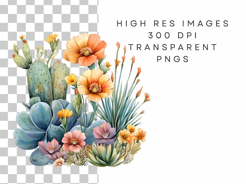 Desert Dreams Watercolor Clipart – Cactus, Wildlife (digital Download ...