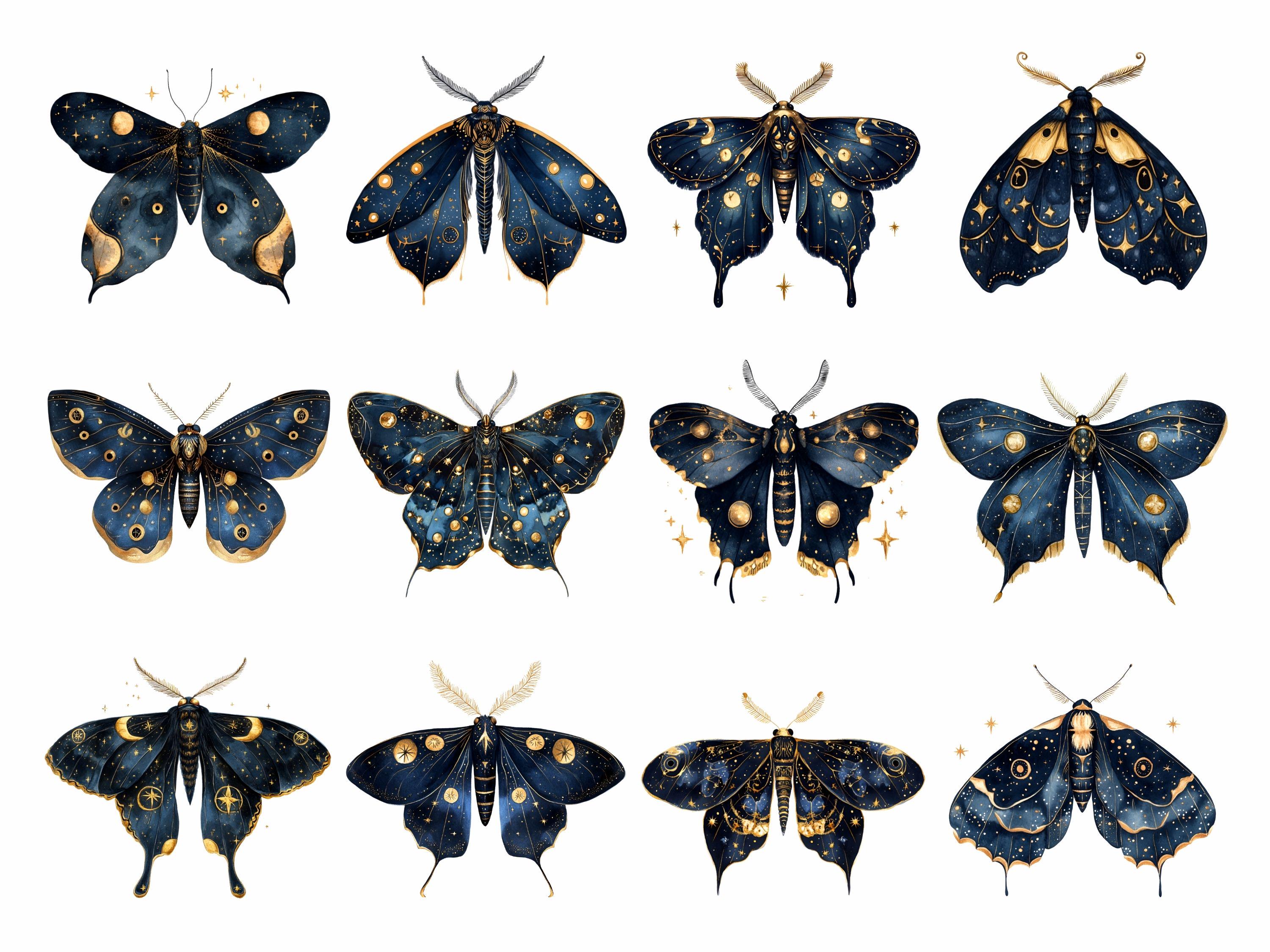 Celestial Moths Clipart - Watercolor Moon & Star Moths, Mystical Insect ...