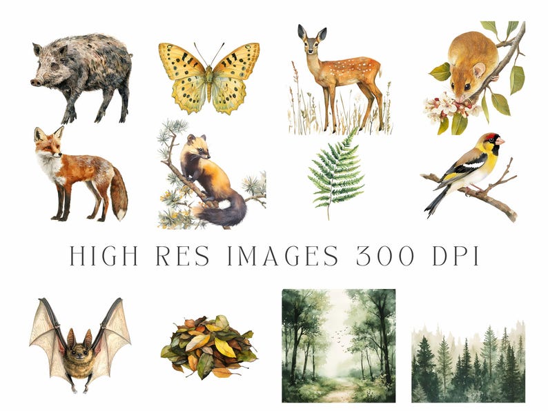 Woodland Clipart Collection | High-res PNG - Forest Animals, Rustic ...