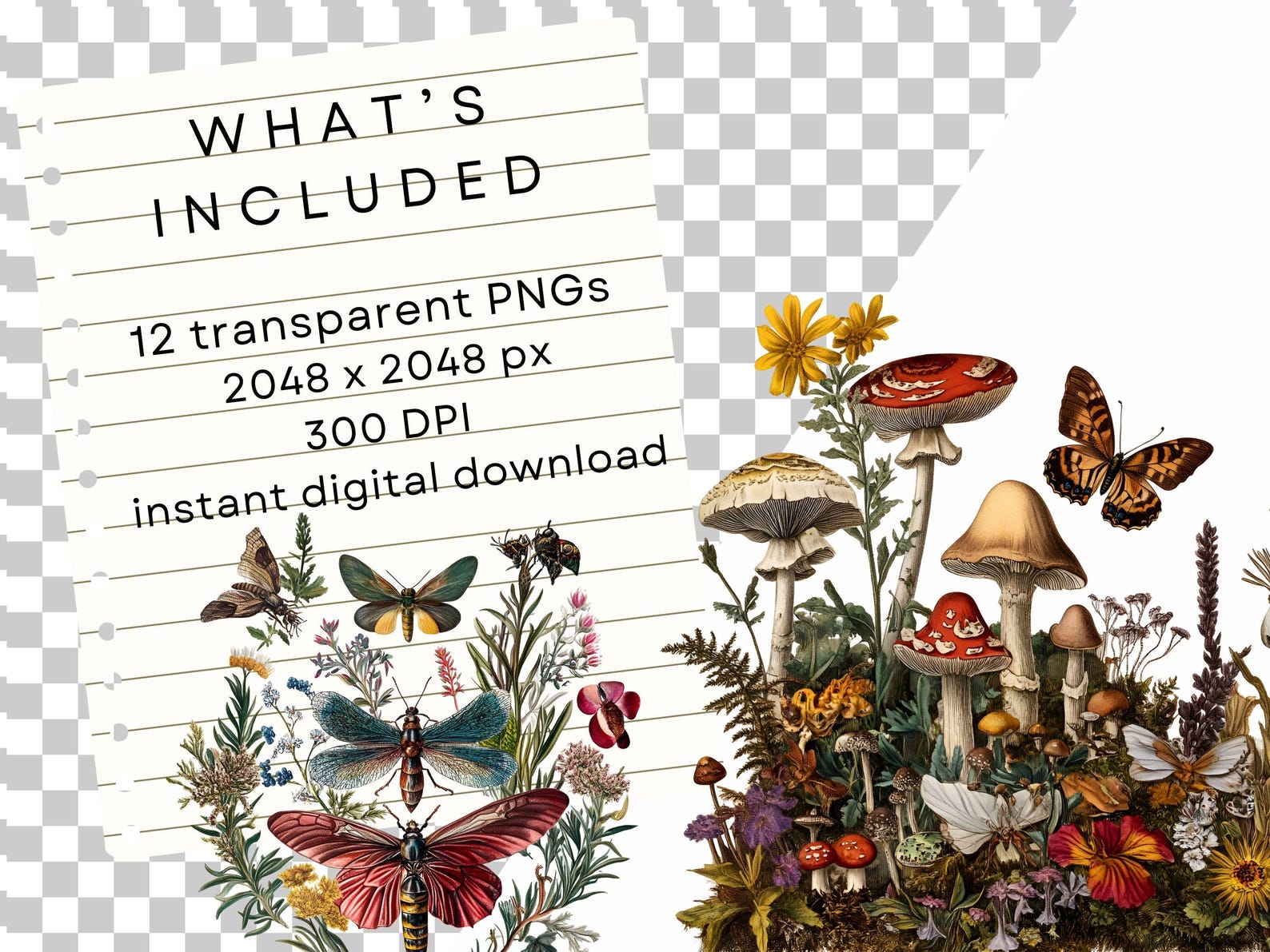 Woodland Nature Clipart Bundle | Mushrooms, Butterflies, Insects ...