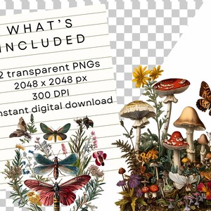 Woodland Nature Clipart Bundle | Mushrooms, Butterflies, Insects ...