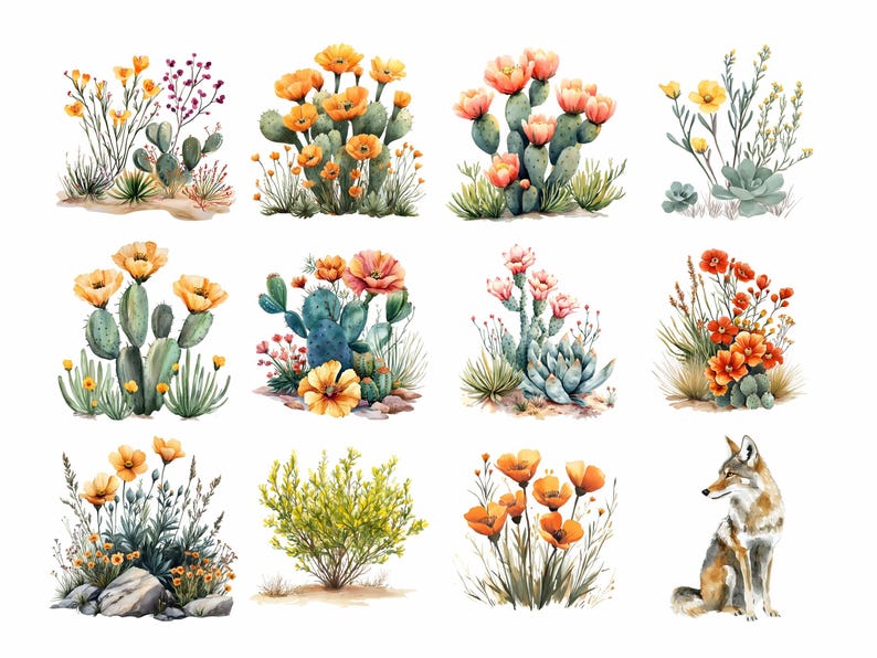 Desert Watercolor Clipart - Cactus, Wildlife & Desert Plants, Desert ...