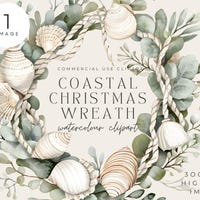 Coastal Christmas Seashells 35 Clipart PNG Watercolor Tropical Beach ...