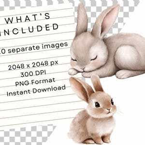 Cute Bunnies Watercolor Clipart | Adorable Bunny Illustrations, Easter ...