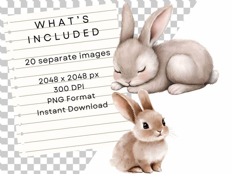 Watercolor Bunny Clipart | 20 PNG Illustrations, Nursery & Easter ...