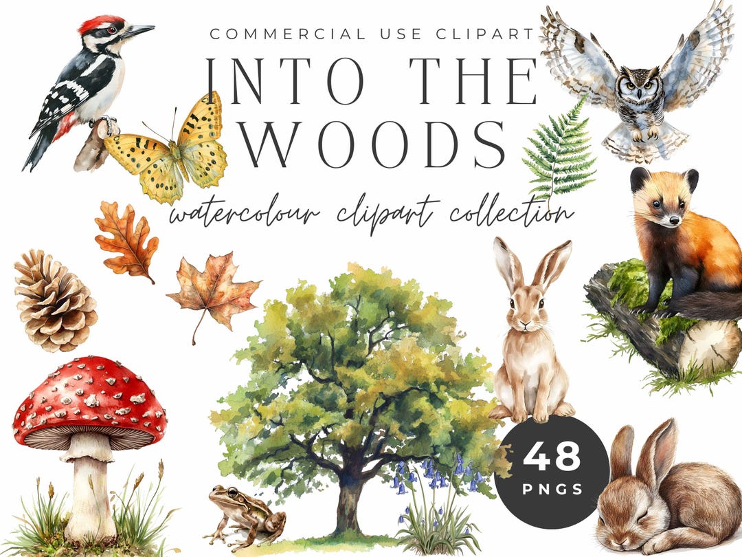 Woodland Clipart Collection | High-res PNG - Forest Animals, Rustic ...