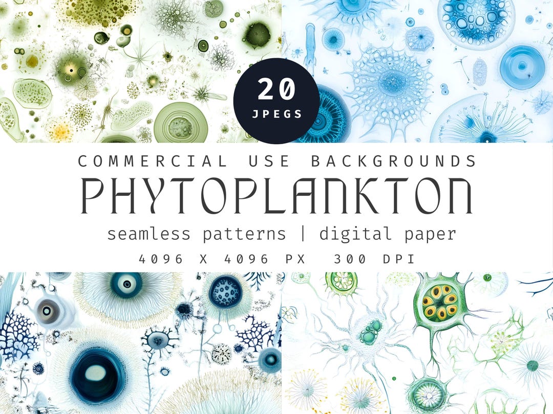 Phytoplankton Seamless Patterns | Digital Paper Pack | Organic ...
