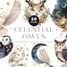 Celestial Owl Clipart Bundle, Mystic Moon Owl PNG, Starry Night Owl ...