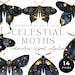 Celestial Moths Clipart - Watercolor Moon & Star Moths, Mystical Insect ...