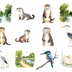 Watercolor River Animals Clipart, Wildlife Illustrations (digital ...