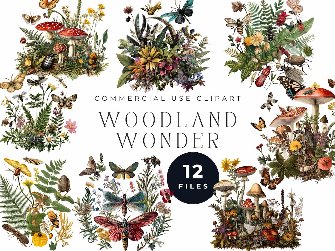 Woodland Nature Clipart Bundle | Mushrooms, Butterflies, Insects ...