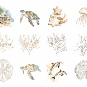 Coastal Christmas Clipart - Beach Holiday, Holiday Invitations, Digital ...