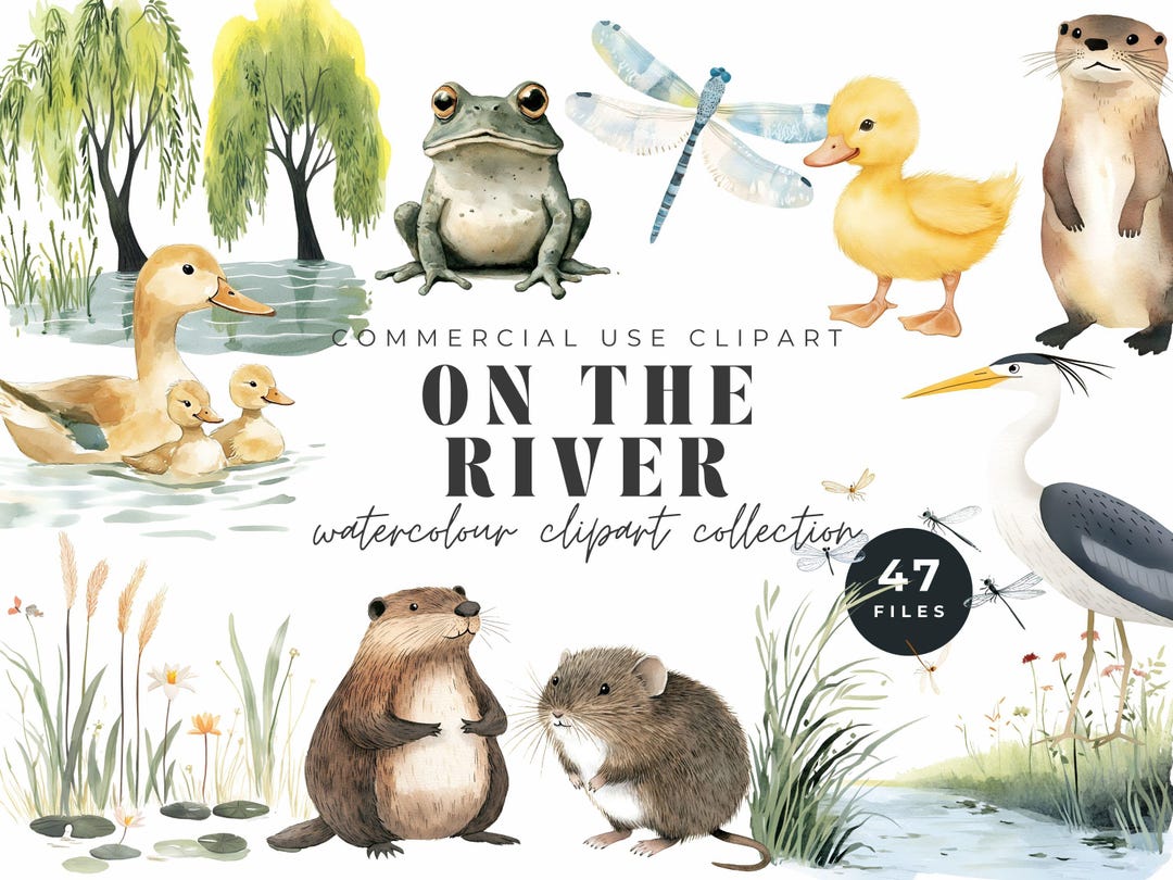 Watercolor River Animals Clipart, Wildlife Illustrations (digital ...