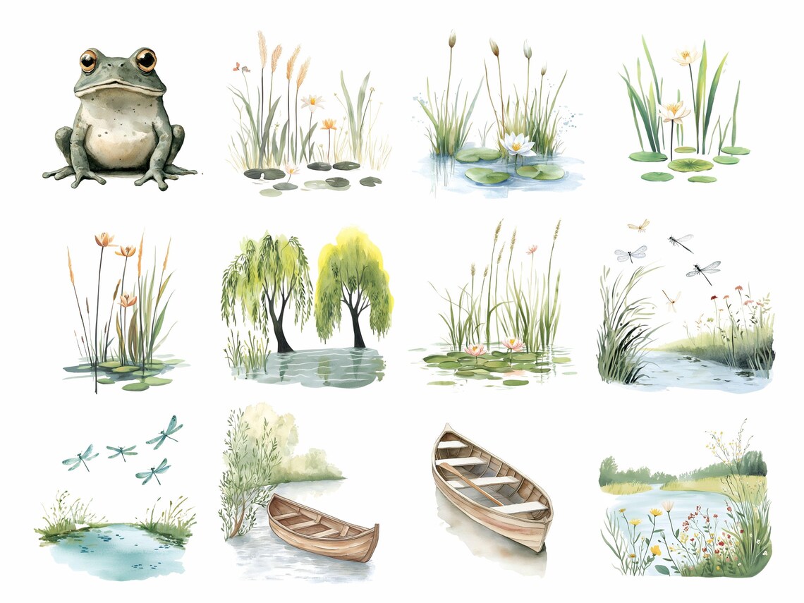 Watercolor River Animals Clipart, Wildlife Illustrations (digital ...