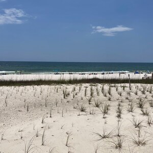 Coastal Digital Template - Etsy