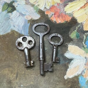 Vintage Skeleton Keys, Rusted Patina, Assorted Sizes Instant Collection ...