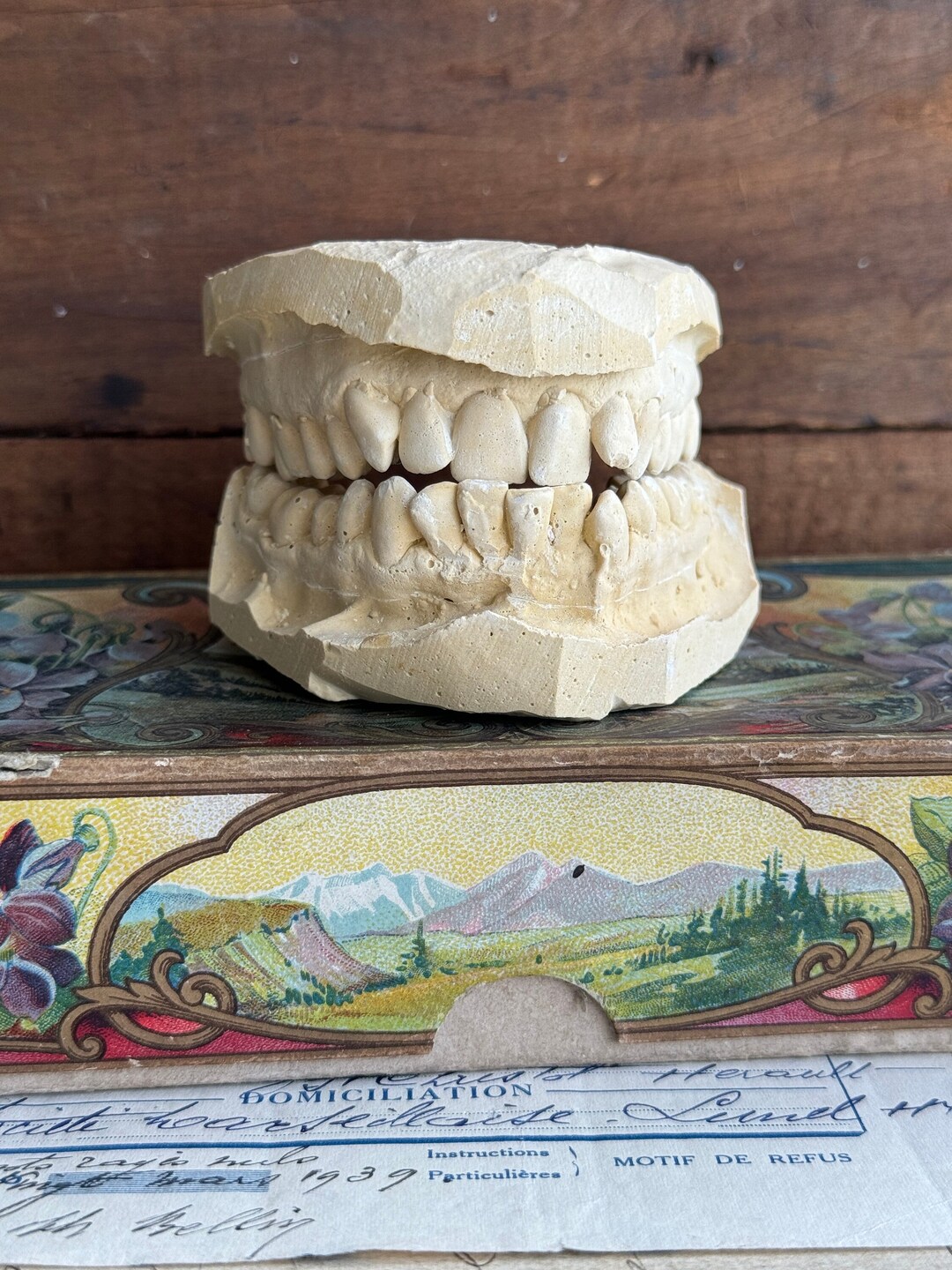 Creepy Teeth Mold Oddities and Curiosities Plaster Cast Teeth Molds ...