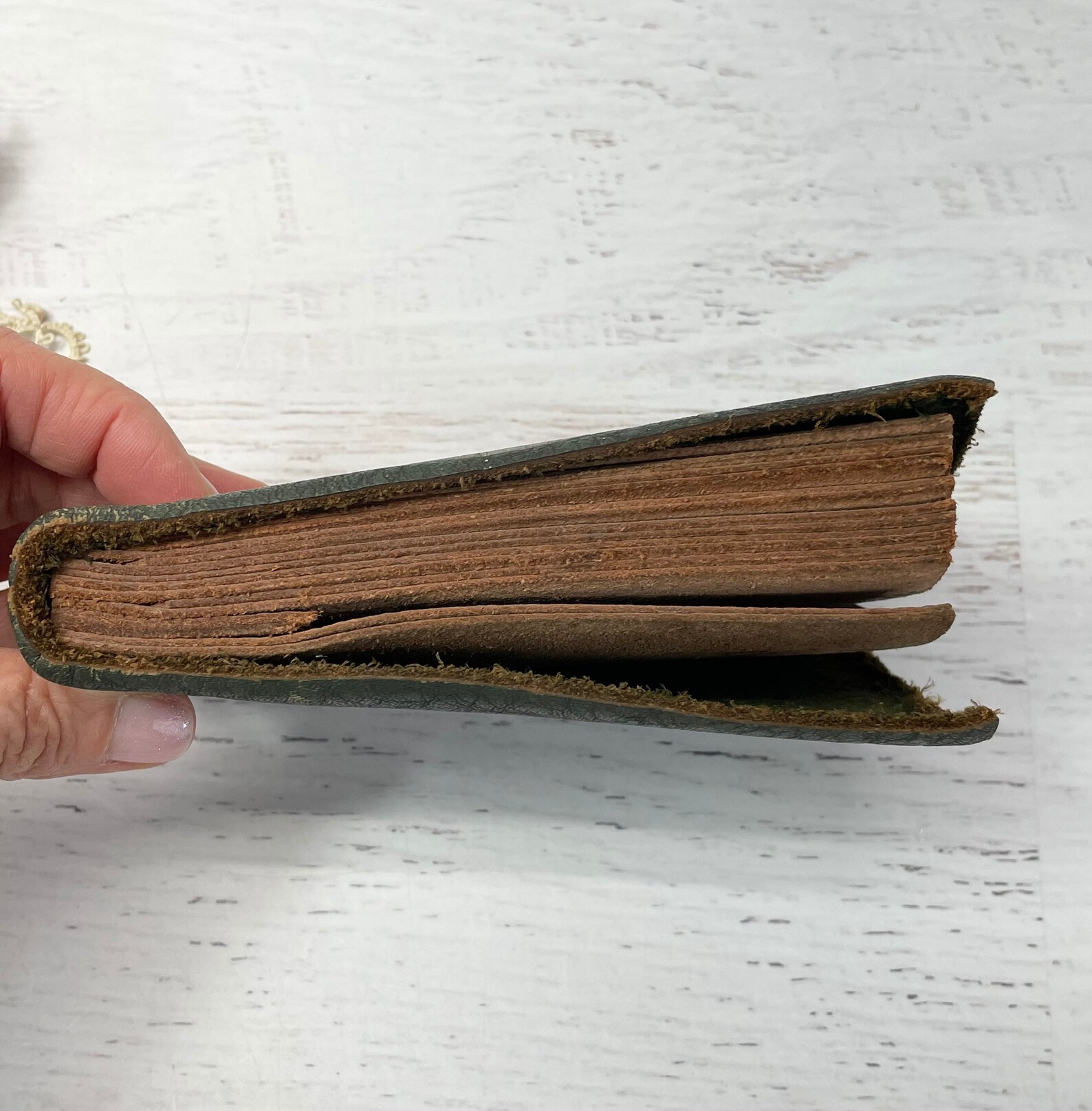 Leather Salesman Sample Book Quality Leathers- the Cleveland Tanning Co ...