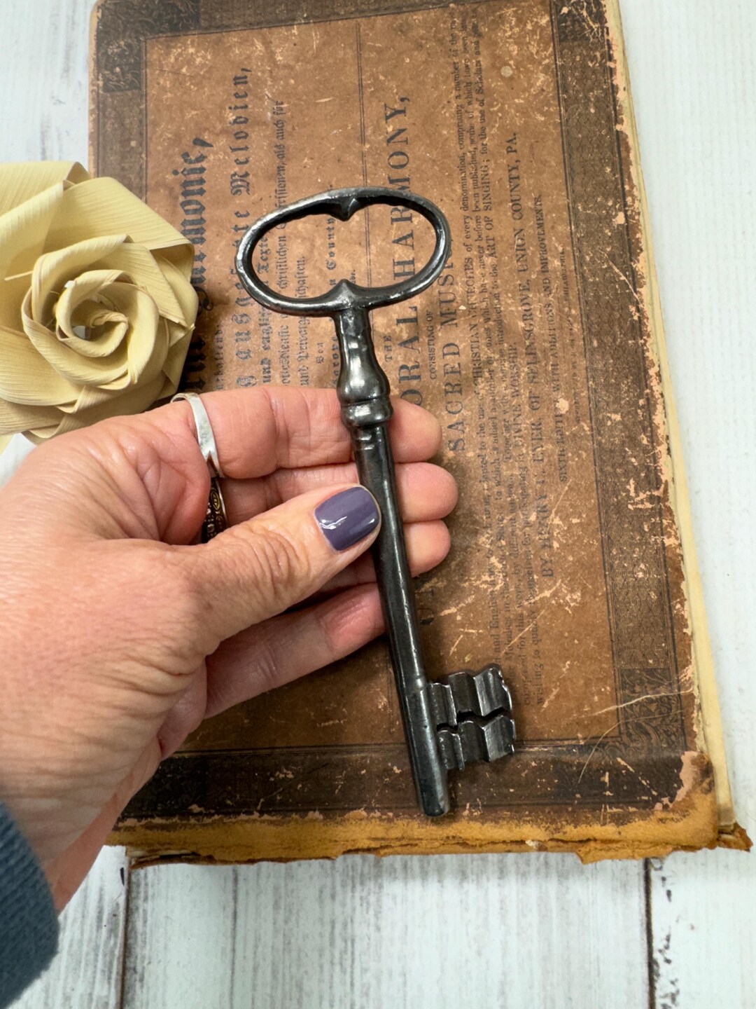 Vintage Skeleton Key Large Size Key Steampunk European Gate Key, Clean ...