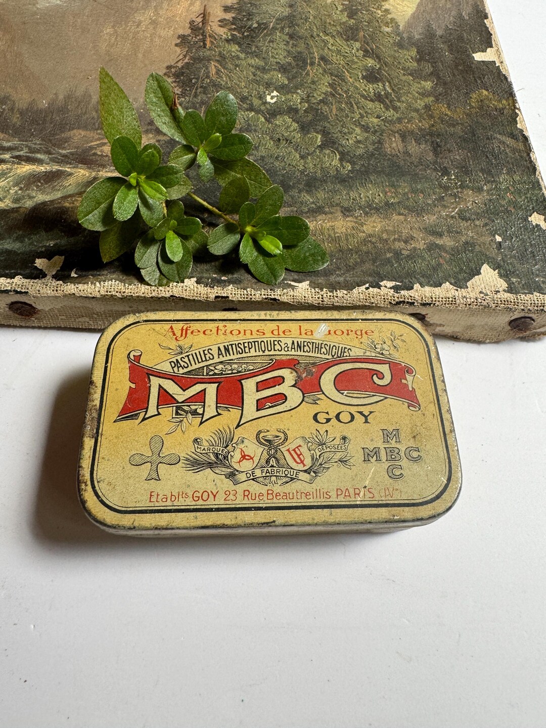 French Vintage Tin Collectible Box, Hinged Lidded Box France, Pastilles ...