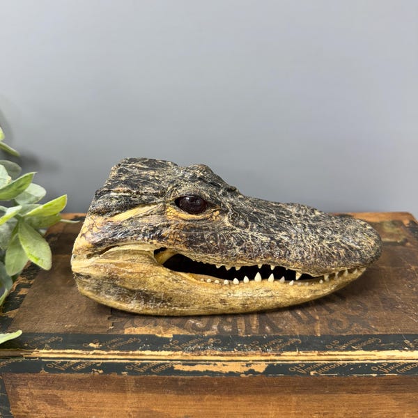 Alligator Heads - Etsy