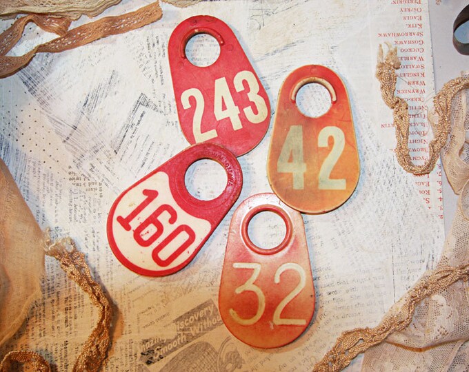 Large Plastic COW TAGS With Numbers - Etsy
