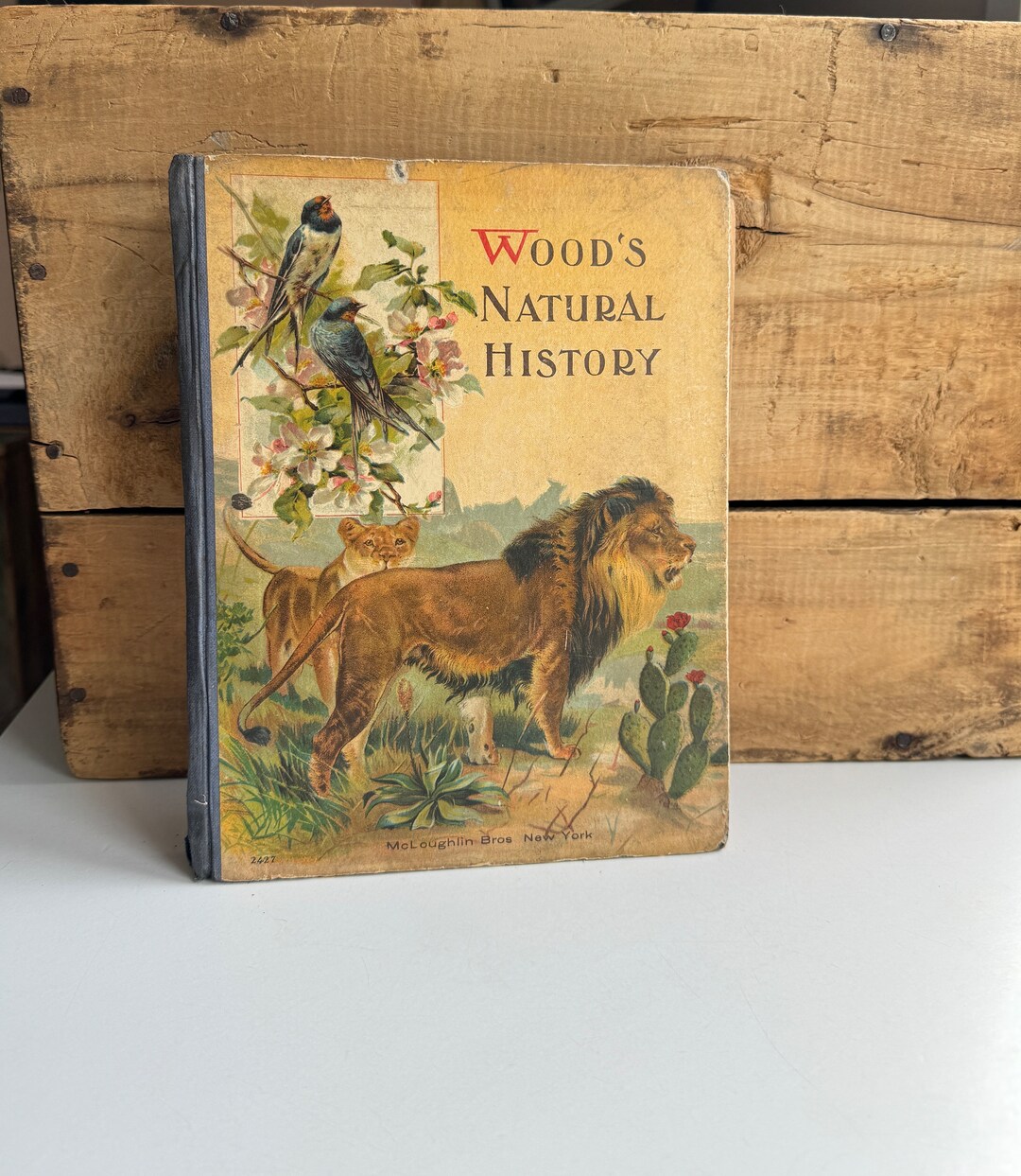 Vintage Book- Woods' Natural History- Illustrated Book About Animals ...