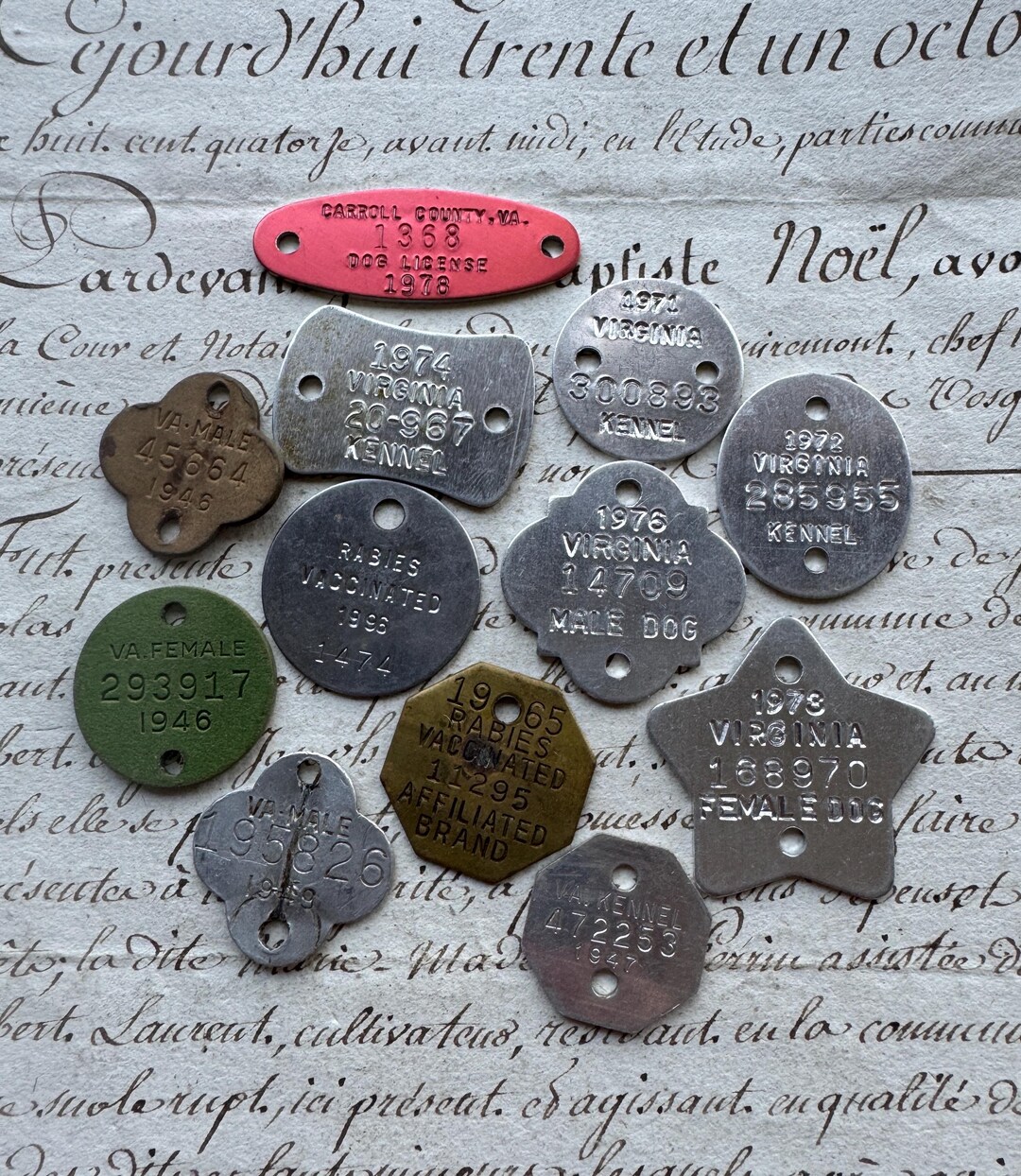 Vintage Dog License Tags 12 Collection, Metal Tags for Crafting ...