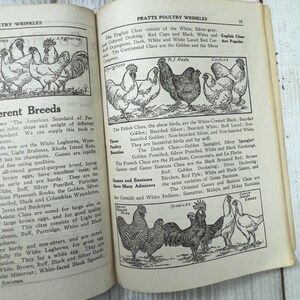 Vintage Poultry Book, Pratts New Poultry Wrinkles, Paperback Booklet ...