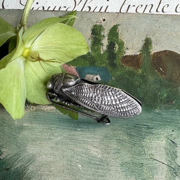 Cicada Brooch - Etsy