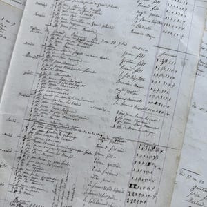 French Ledger Sheets 10 Pages From 1874 Antique Legal Papers With ...