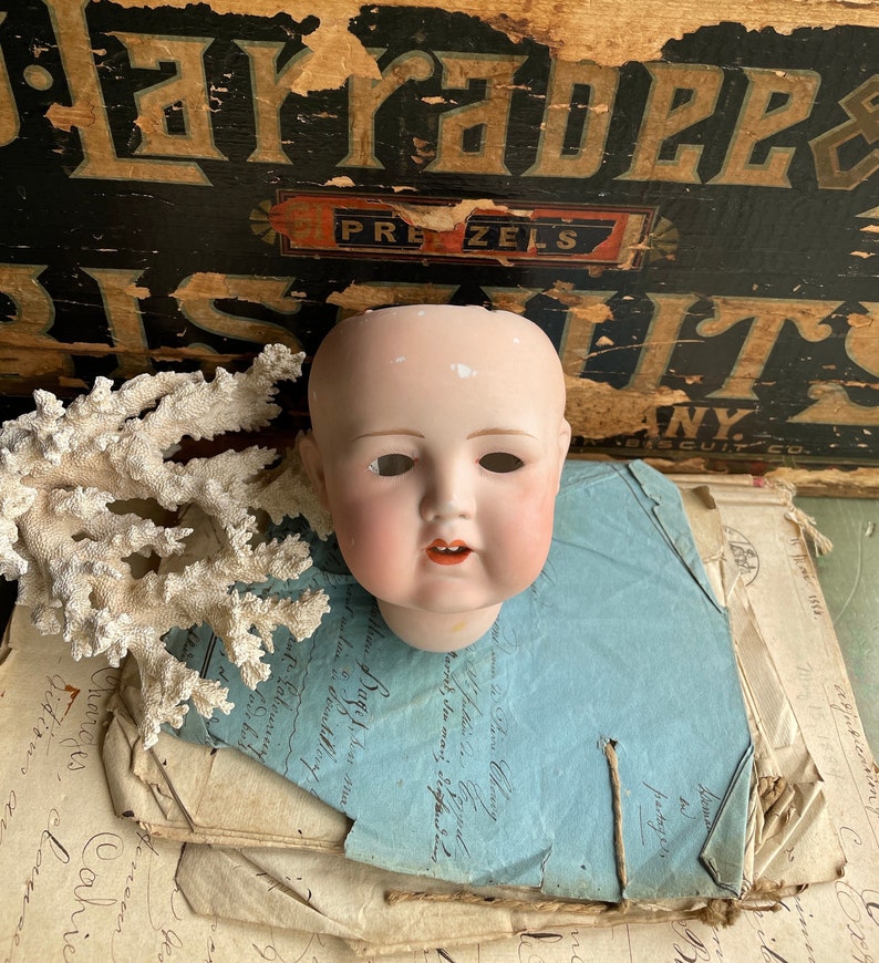Vintage Bisque Doll Head: Nippon Restoration Part, Oddity Display - Etsy