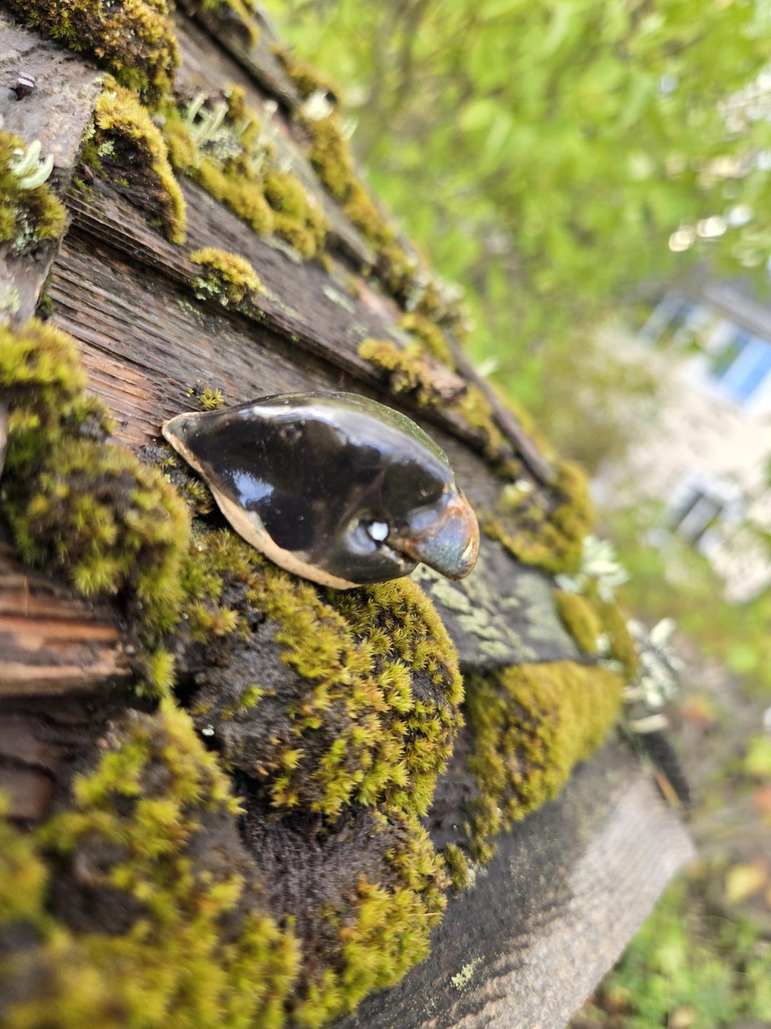 Miniature Black Raven With Blue Beak – Whimsical Handmade Sculpture - Etsy