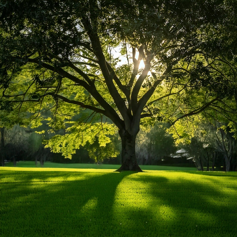 Vibrant Green Tree Background – Nature-inspired Digital Download for ...