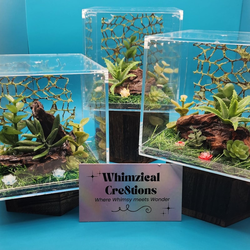 Jumping Spider Enclosure - Etsy