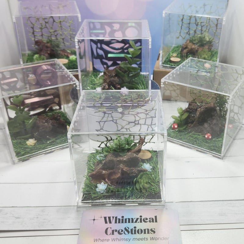 Jumping Spider Enclosure - Etsy