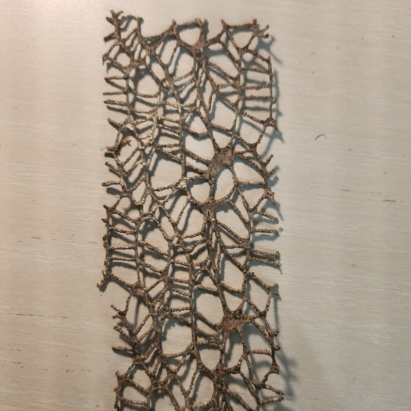 Spider Ribbon - Etsy